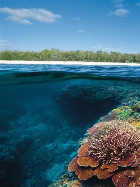 Esse é um dos lugares mais bonitos do mundo Está no Brasil Paraíba