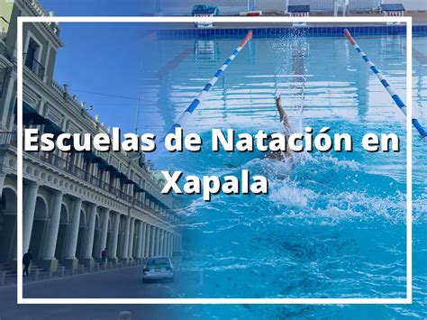 ᐈ Mejores Escuelas de Natación en Xalapa del2024