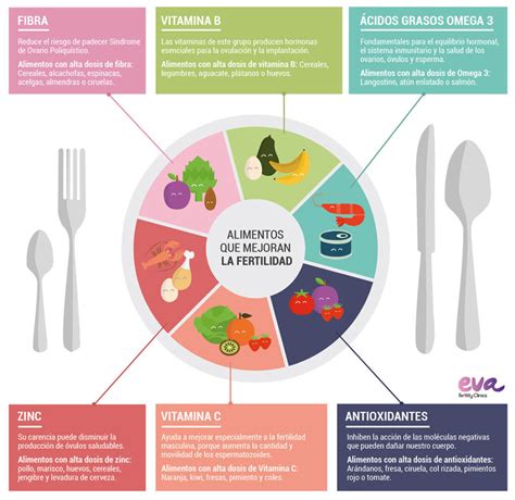 Nutrientes Que Necesitas Para Aumentar La Fertilidad