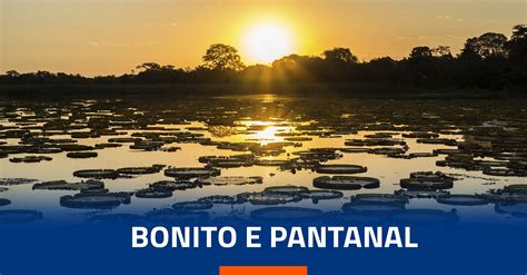 A Maravilha natural de Bonito e o Pantanal Dicas de atrações para a