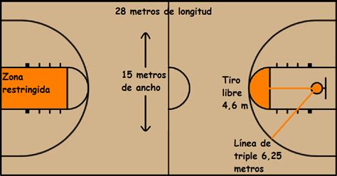 Cancha De Baloncesto Y Sus Medidas