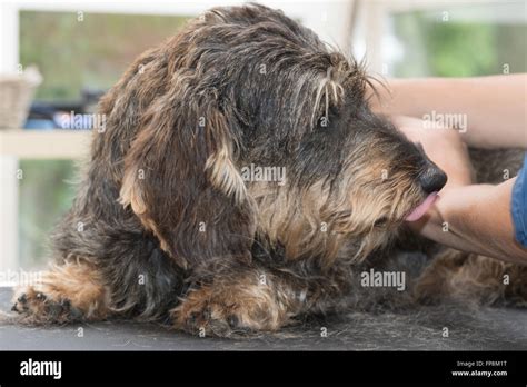 Care Professions Hi Res Stock Photography And Images Alamy