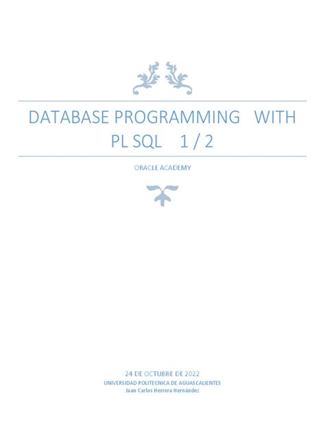 db pl sql 1 2 pdf pl sql control flow