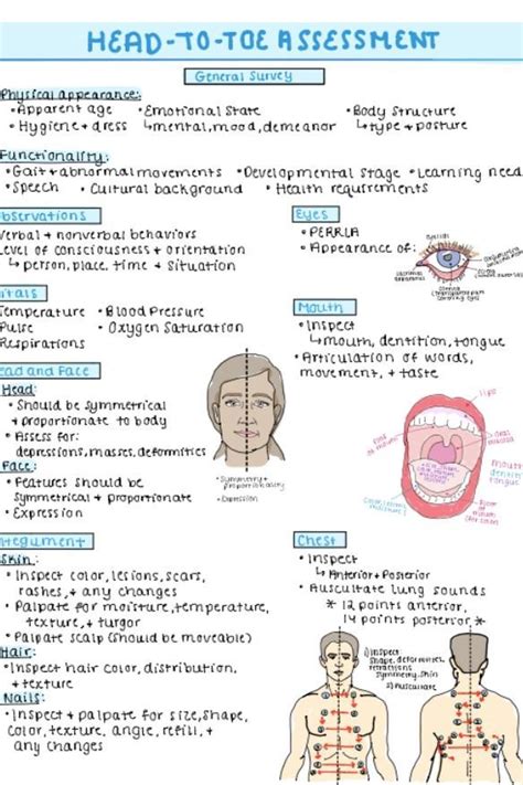 Head To Toe Assessment Study Guide Template Study Guide Health