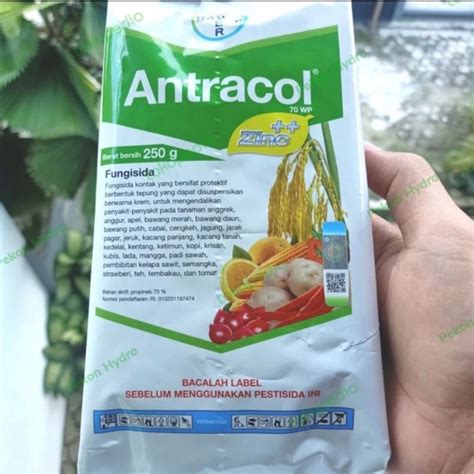 Jual Antracol Fungisida Wp Gram Kemasan Repack Shopee Indonesia