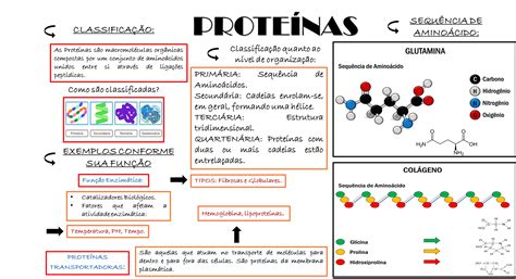 Mapa Mental Sobre Proteínas Bioquimica Geral