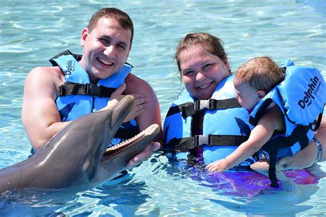 Cuánto cuesta nadar con delfines en Cozumel Dolphin Discovery Blog