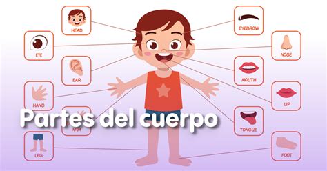 Aprender las partes del cuerpo en inglés para niños de 4 a 12 años