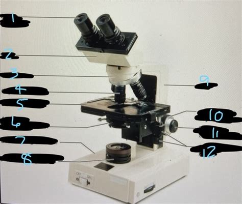 Microbiology Lab Exam Flashcards Quizlet