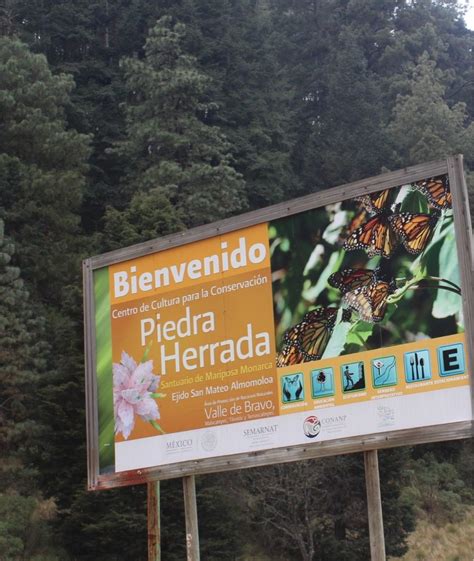 PIEDRA HERRADA SANTUARIO DE LA MARIPOSA MONARCA Estado de México