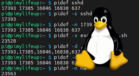 How To Use The Pwd Command On Linux Pi My Life Up
