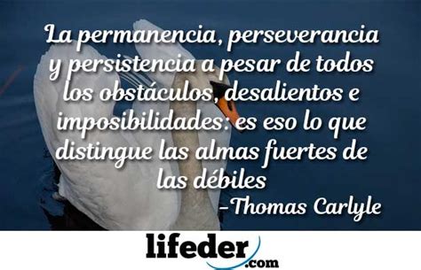 100 Frases De Perseverancia Y Constancia En La Vida Experimente A