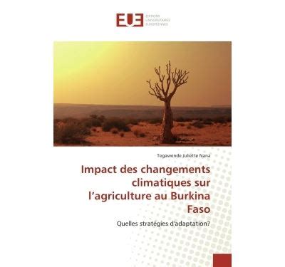 Impact Des Changements Climatiques Sur L Agriculture Au Burkina Faso