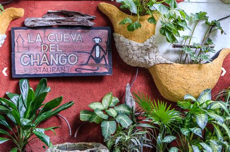 La Cueva del Chango restaurante que te hará sentir en la selva
