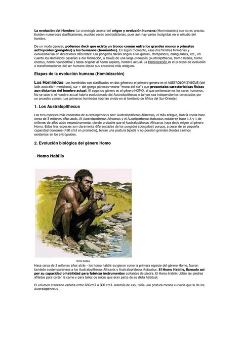 Cronología De La Evolución De Los Homínidos