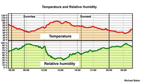 What Is The Relationship Between Temperature And Relative Humidity