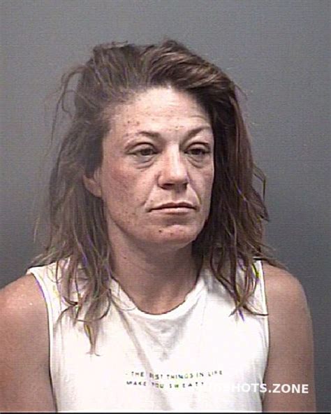 Furr Brandi Michelle Rowan County Mugshots Zone