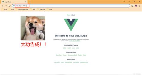 vue前端搭建教程 创建vue项目保姆级教程 创建前端vue项目 csdn博客