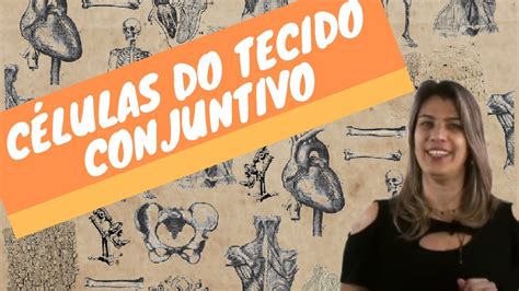 Células do tecido conjuntivo propriamente dito YouTube