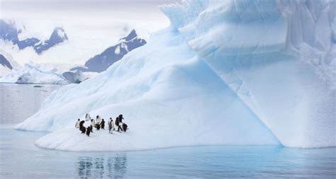 La fusión de los glaciares de Antártida occidental es irreversible