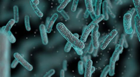 Resistencia bacteriana a los antibióticos Od Luis Marcano