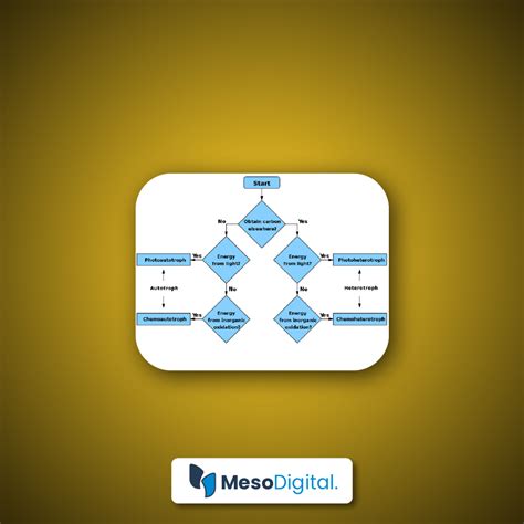 Ini Cara Membuat Flow Chart Dengan Mudah Di Pc Maupun Smartphone