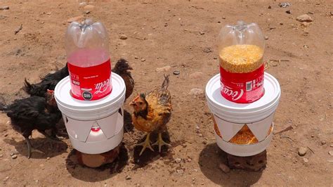 COMO HACER BEBEDERO Y COMEDERO PARA POLLOS POLLITOS Y GALLINAS Con
