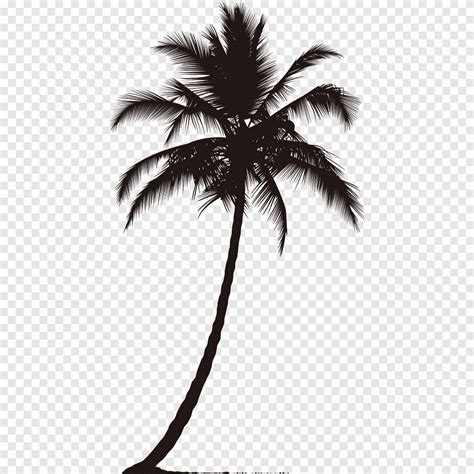 Silueta De Cocoteros Palma De Coco Bosquejo Png Pngegg