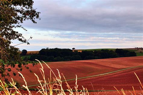 Eifel Kolory Jesieni Pola Darmowe zdjęcie na Pixabay Pixabay