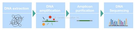 16S RRNA Gene Sequencing And Importance Genetic Education