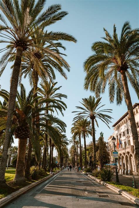 23 Top Things To Do In Palma De Mallorca Spain Palma Mallorca Palma