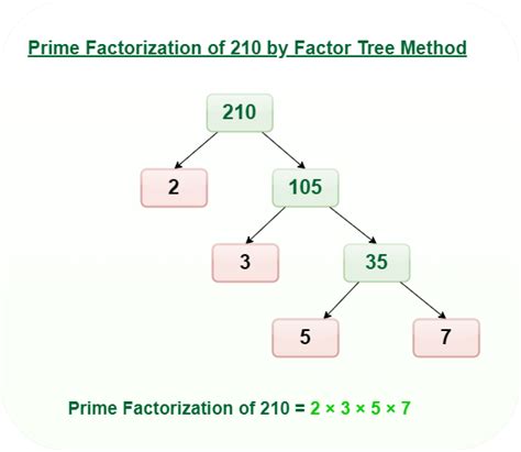 prime factorization methods how to find and examples