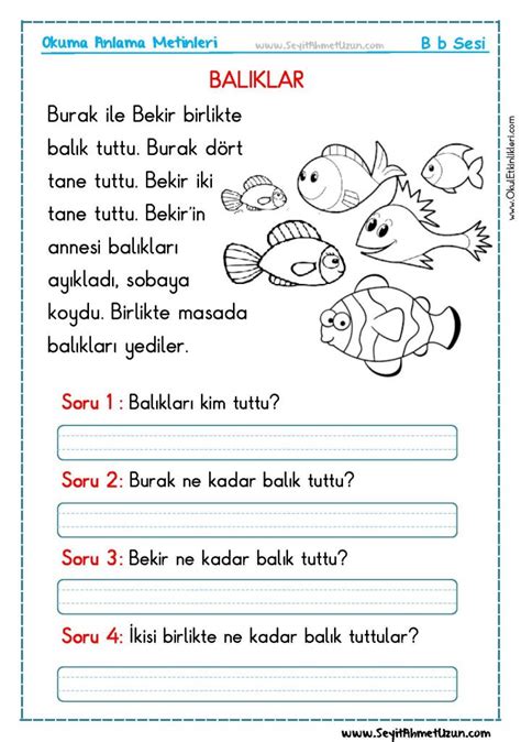 B Sesi Okuma Anlama Baliklar Seyit Ahmet Uzun E Itime Yeni Bir Bak