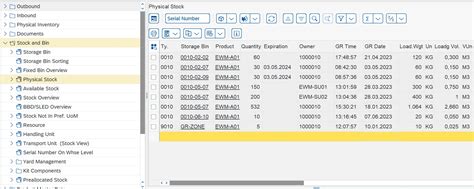 Understanding Ewm Process Oriented Storage Control Itpfed Off
