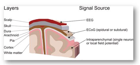 intro to brain computer interface