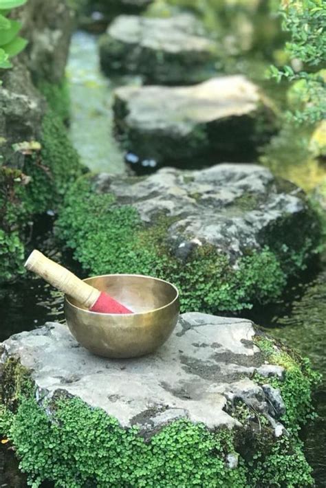 A Bowl Sitting On Top Of A Rock Covered In Green Moss Next To A Stream