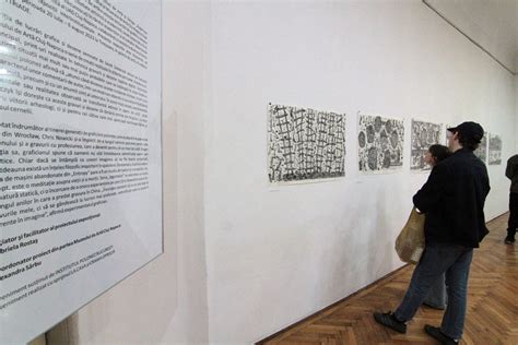 MUZEUL DE ARTA DIN CLUJ NAPOCA Jacek Szewczyk și Chris Nowicki