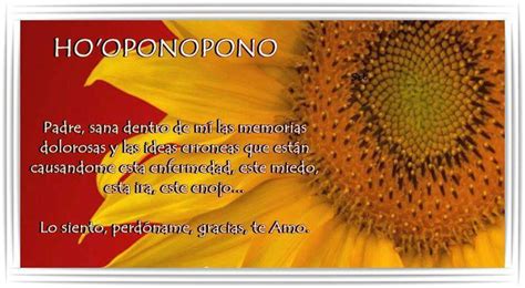 Ho Oponopono Oponopono Frases Hoponopono Lo Siento
