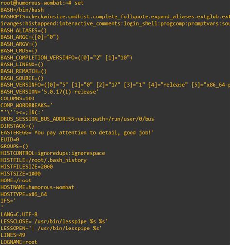 Check If Variable Is Set In Bash A Comprehensive Guide