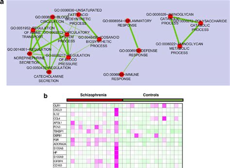Biological Processes Over Represented In Differentially Expressed Genes