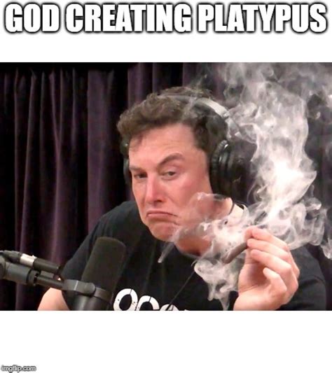 Elon Musk Weed Memes Imgflip