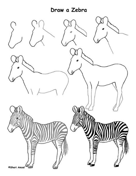 Tutorials And Guides How To Draw A Zebra The Things To Draw Journey