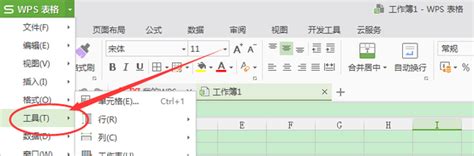 Wps Excel