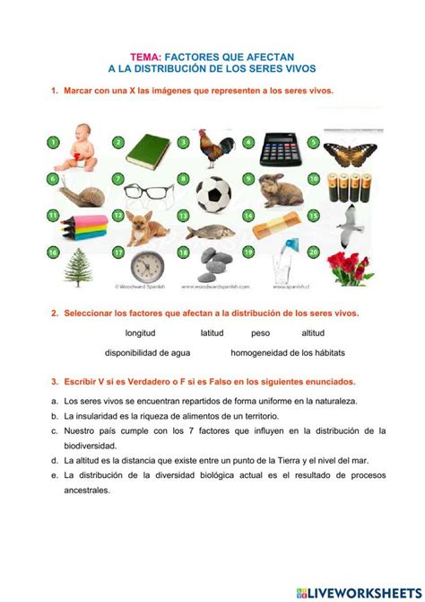 Factores Que Afectan La Biodiversidad Worksheet Ciencias De La