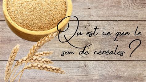 Qu est ce que le son de céréales blé avoine riz maïs orge