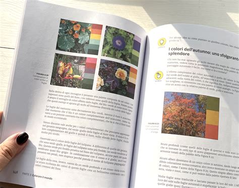 5 Libri Per Conoscere L Uso Dei Colori E Scoprirne Tutti I Segreti