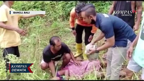 Dikira Hanyut Seorang Nenek Ditemukan Lemas Di Semak Semak Video