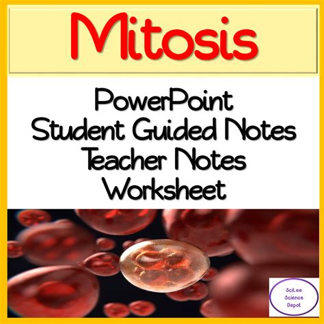 Cell Division Mitosis Powerpoint Worksheet Made By Teachers