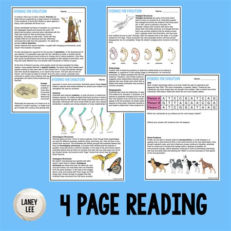Evidence Of Evolution Answer Sheet