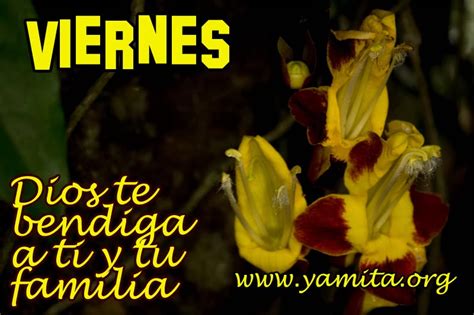 Bendiciones Para Ti Y Tu Familia En Este Dia Facebook Imagenes